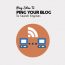 Top 10 Ping Sites To "Ping Your Blog" To Search Engines In 2025