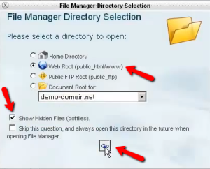 How to Use cPanel File Manager to Upload/Delete Files on WordPress