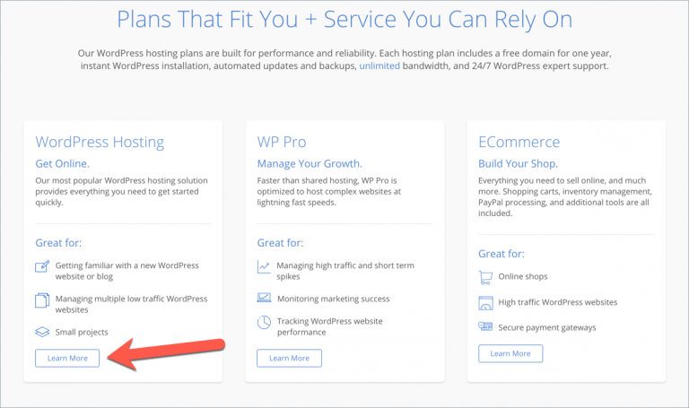How to Start a WordPress Blog on Bluehost (With Pictures)
